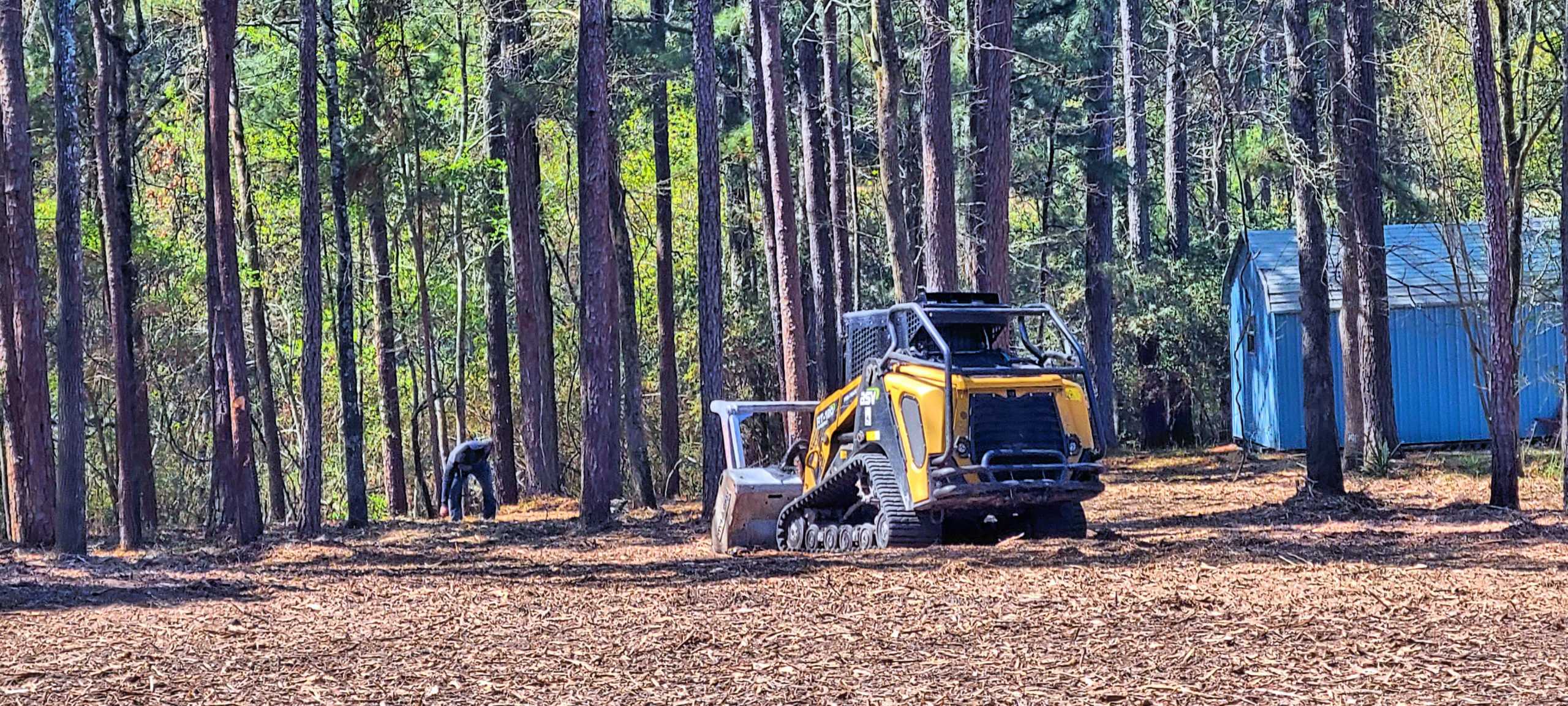 Land and Tree Mulching | Davidson Land Management